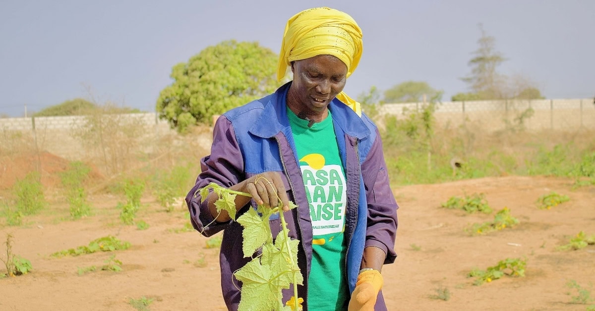 Women Leading Climate Resilience in Senegal – The Hunger Project