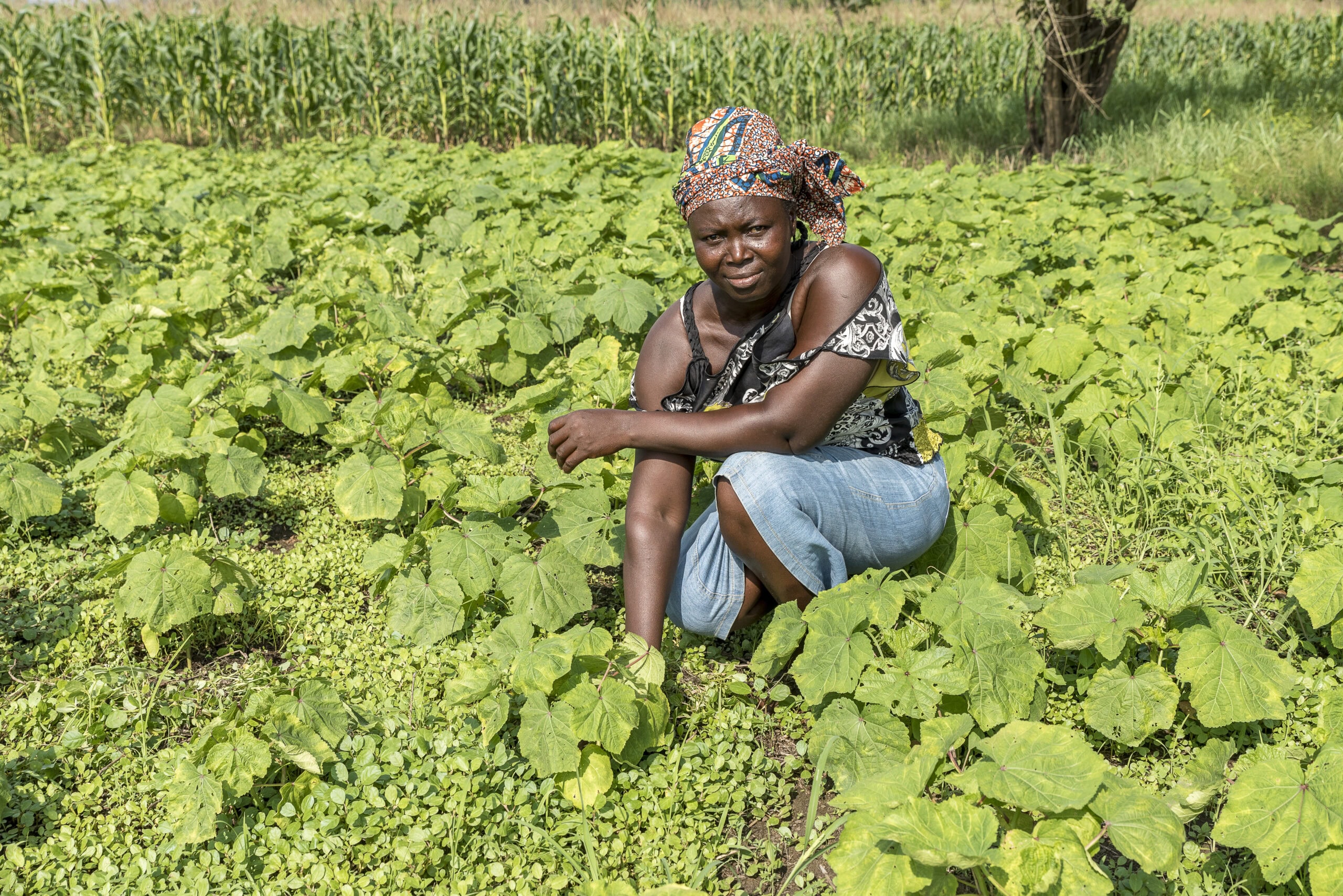 The Hunger Project Ghana