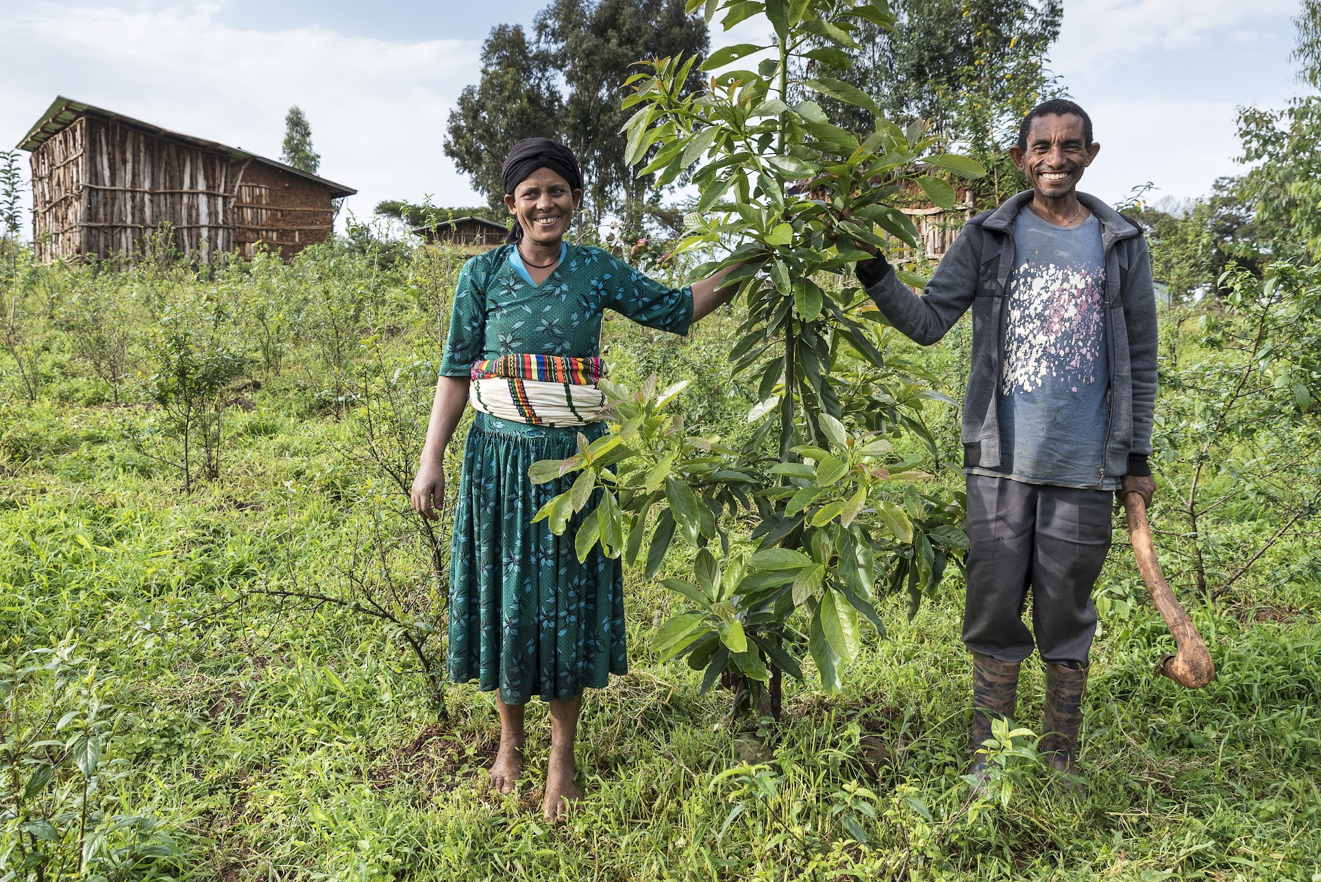 World Hunger Day 2023: Sustainability – The Hunger Project